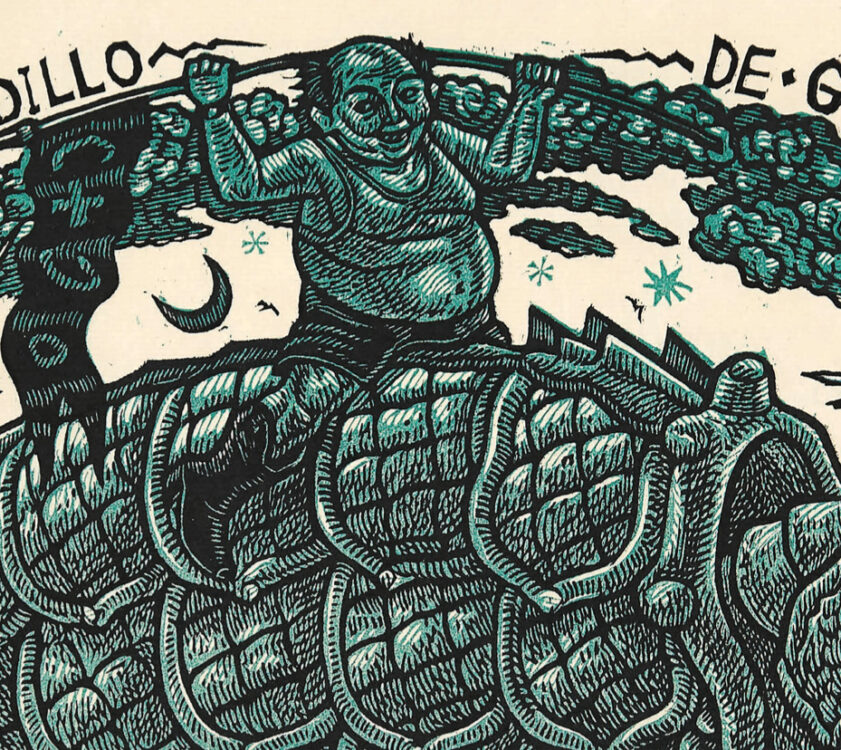 The Great Warmadillo by Tom Huck | Printed Editions