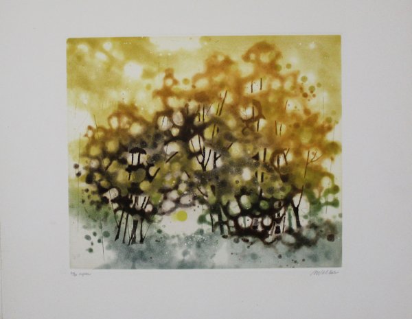 Aspen by Anne Walker | Printed Editions