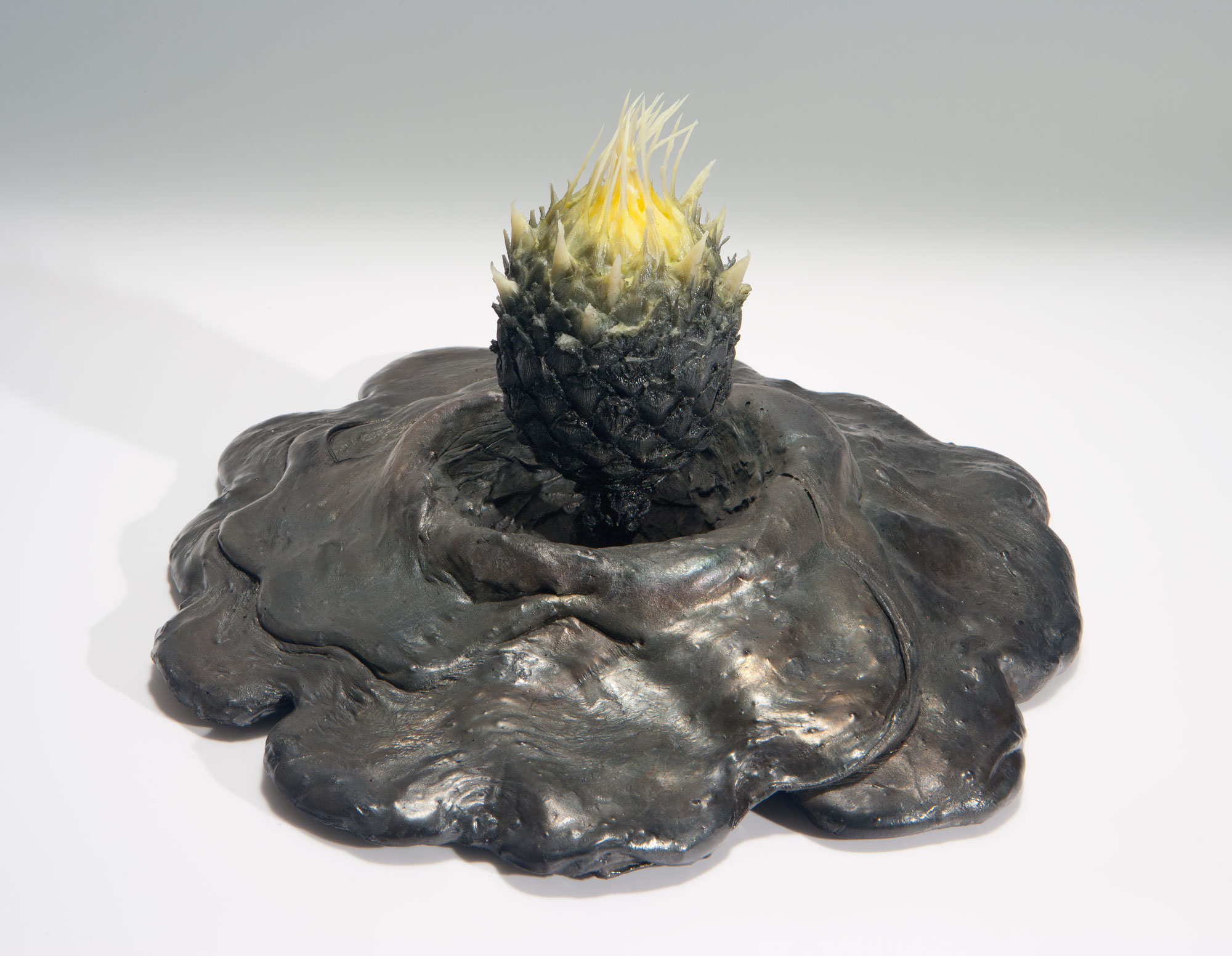 Cycas Revoluta Bulbil by Keith Edmier | Printed Editions