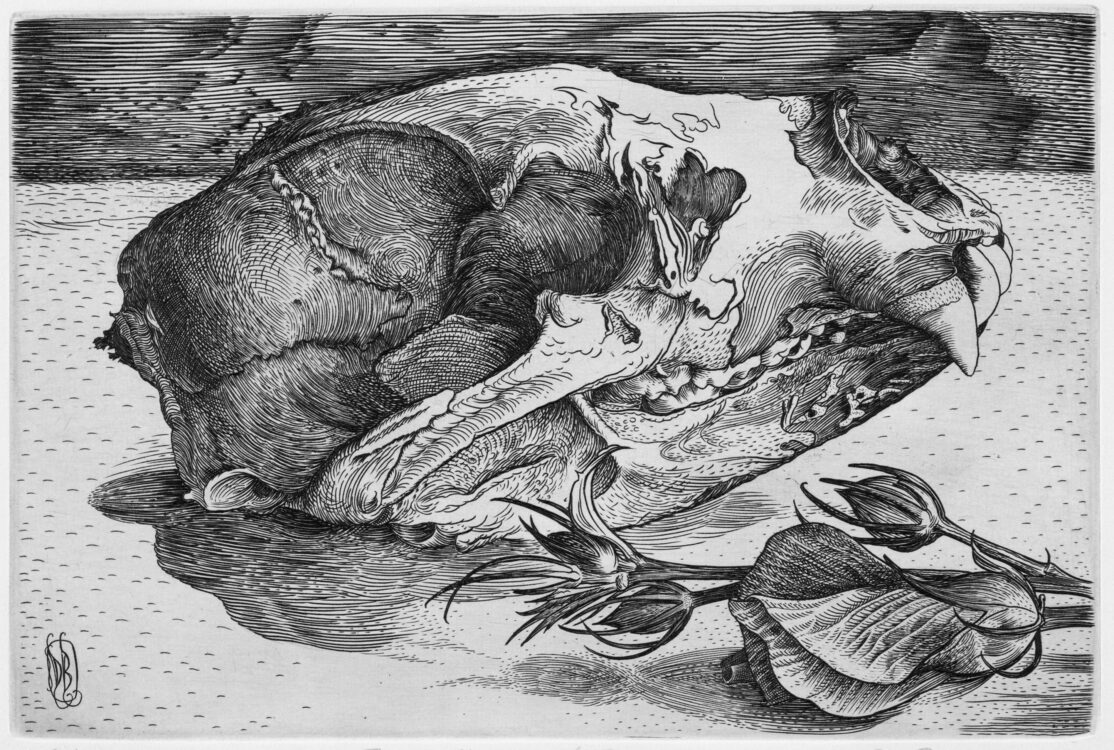 Buy Stanley Whitney Prints | Original Limited Editions - Printed Editions