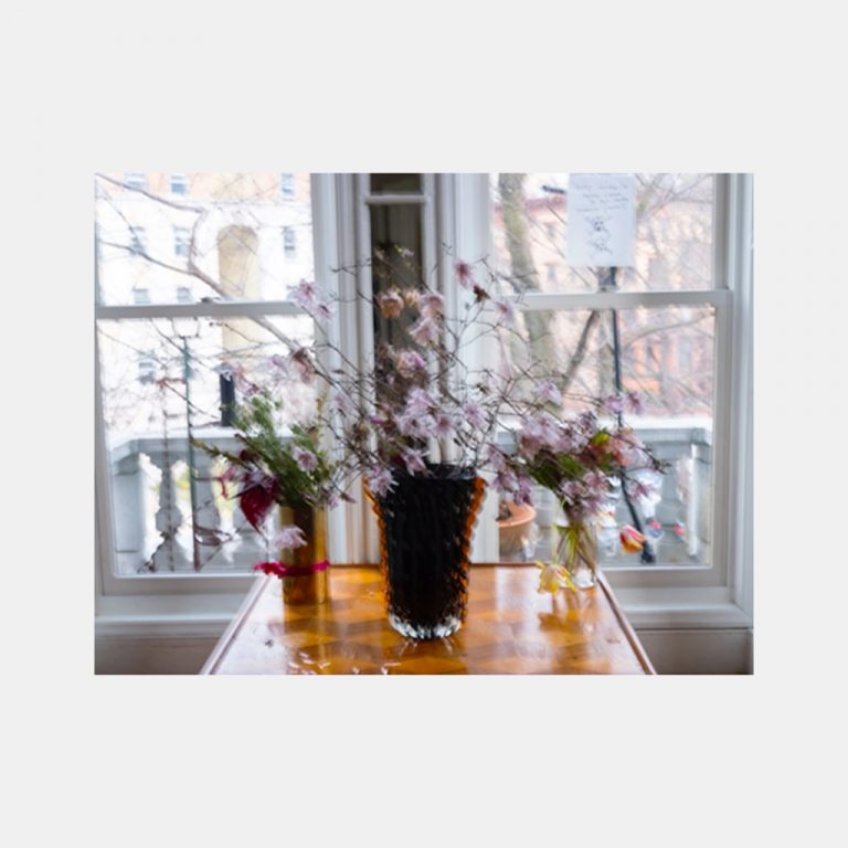 Swoon Prints For Sale - Printed Editions