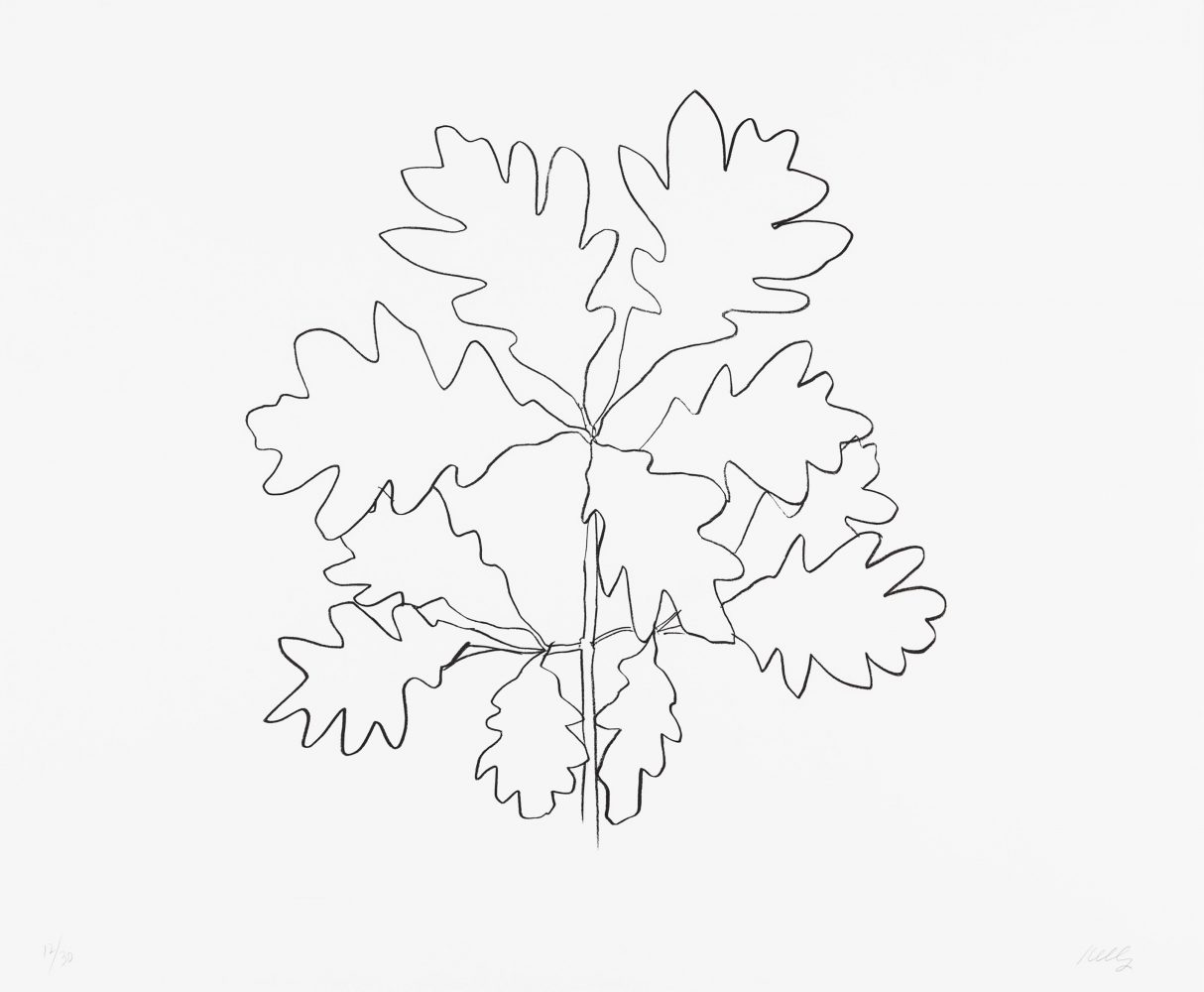 Oak Vi By Ellsworth Kelly Printed Editions oak-vi-by-ellsworth-kelly-printed-editions