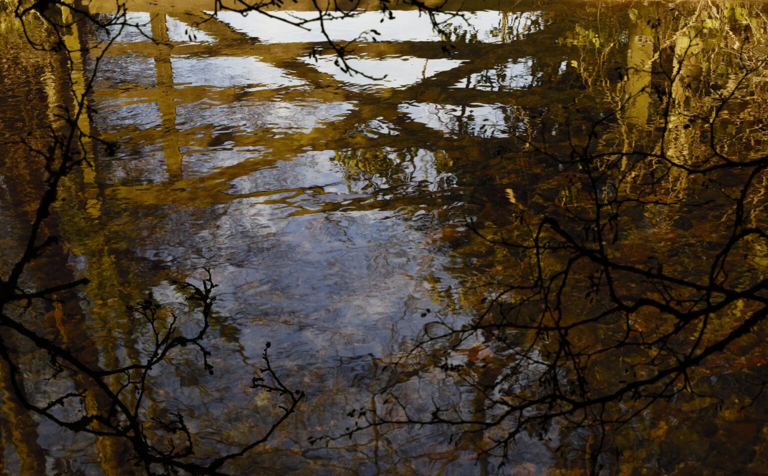 Crossing by Susan Derges | Printed Editions