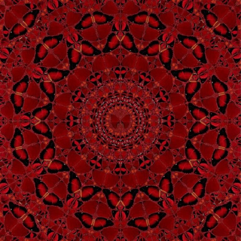 Salvador Dalí Prints, Lithographs and Etchings For Sale - Printed Editions