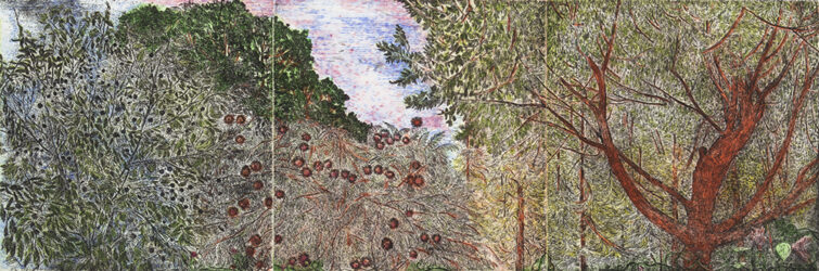 Among Trees by Nancy Friese | Printed Editions