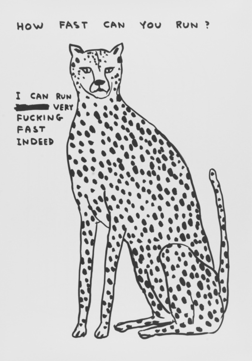 How Fast Can You Run? by David Shrigley | Printed Editions