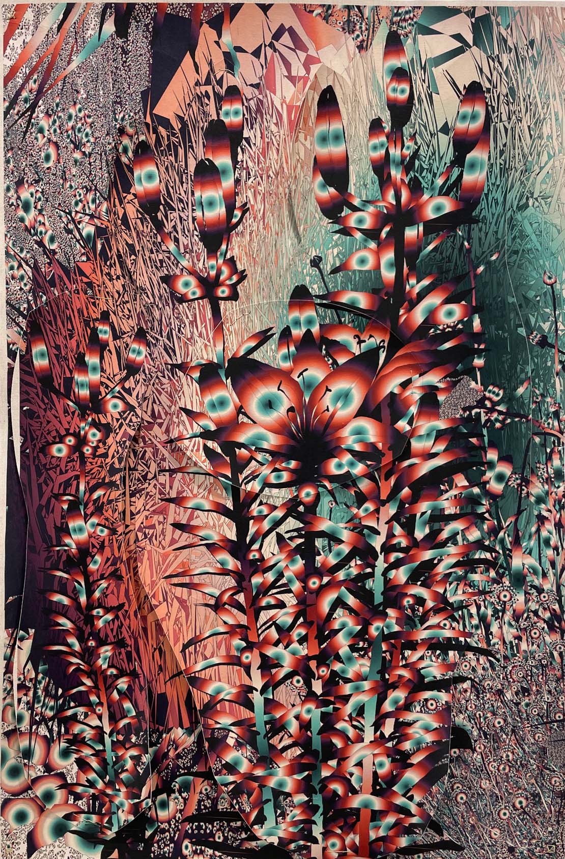 Tam Joseph Prints For Sale - Printed Editions