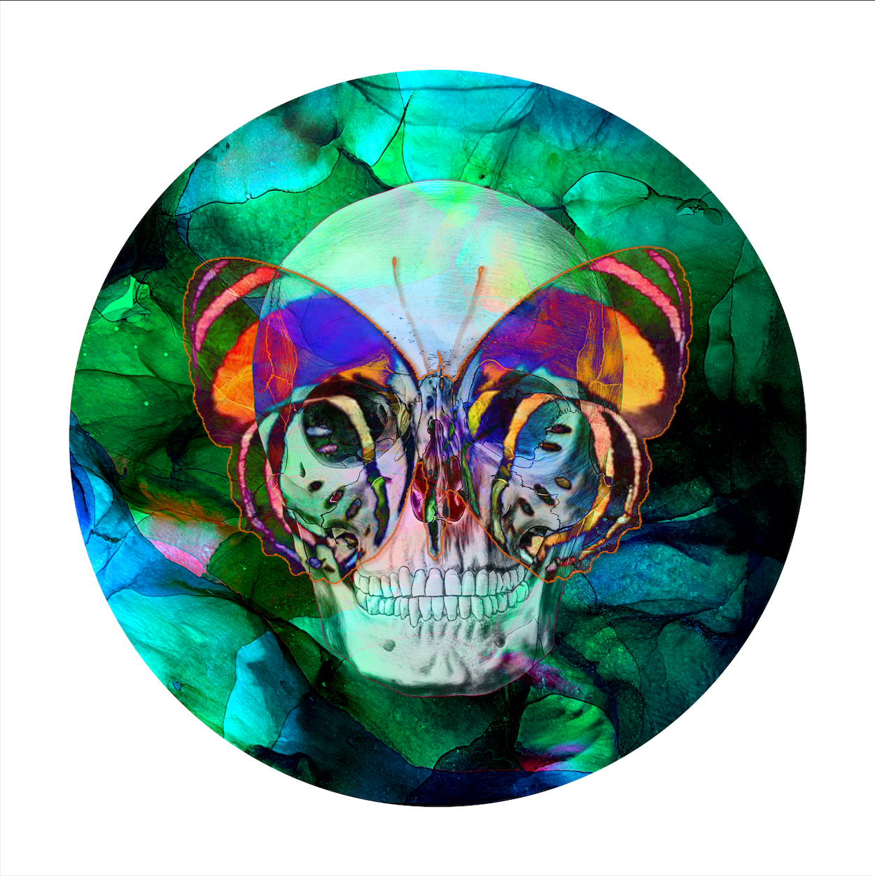 Skullfly: Addicted to Green by Tunku Khalsom | Printed Editions