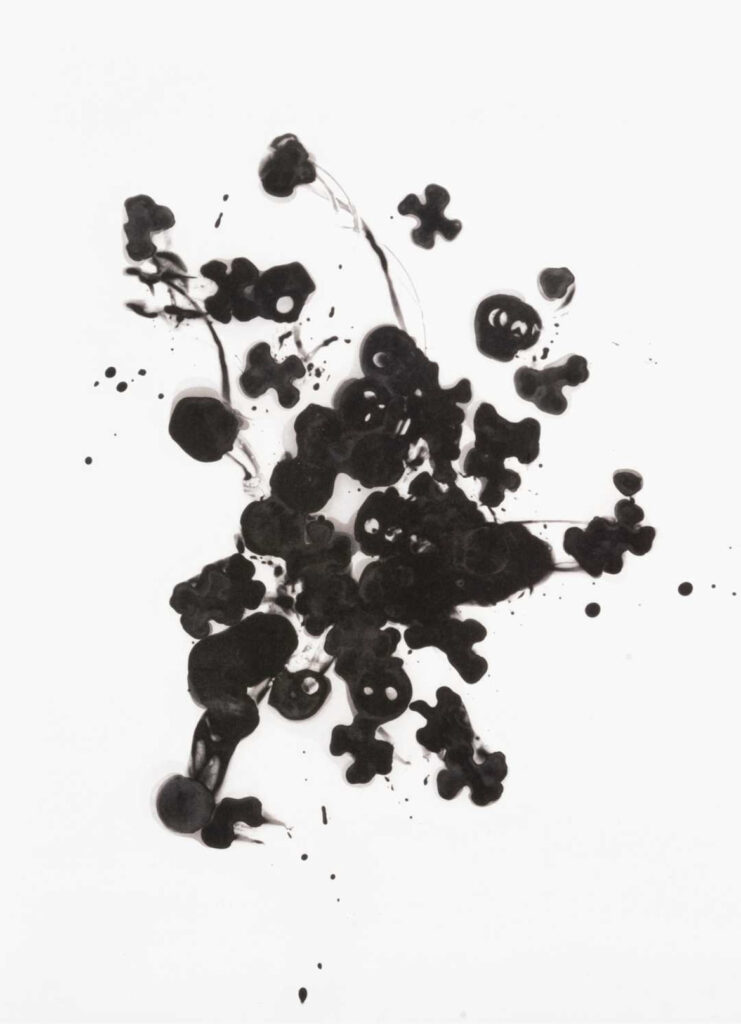 Cornelia Parker – Black Ice by Cornelia Parker | Printed Editions