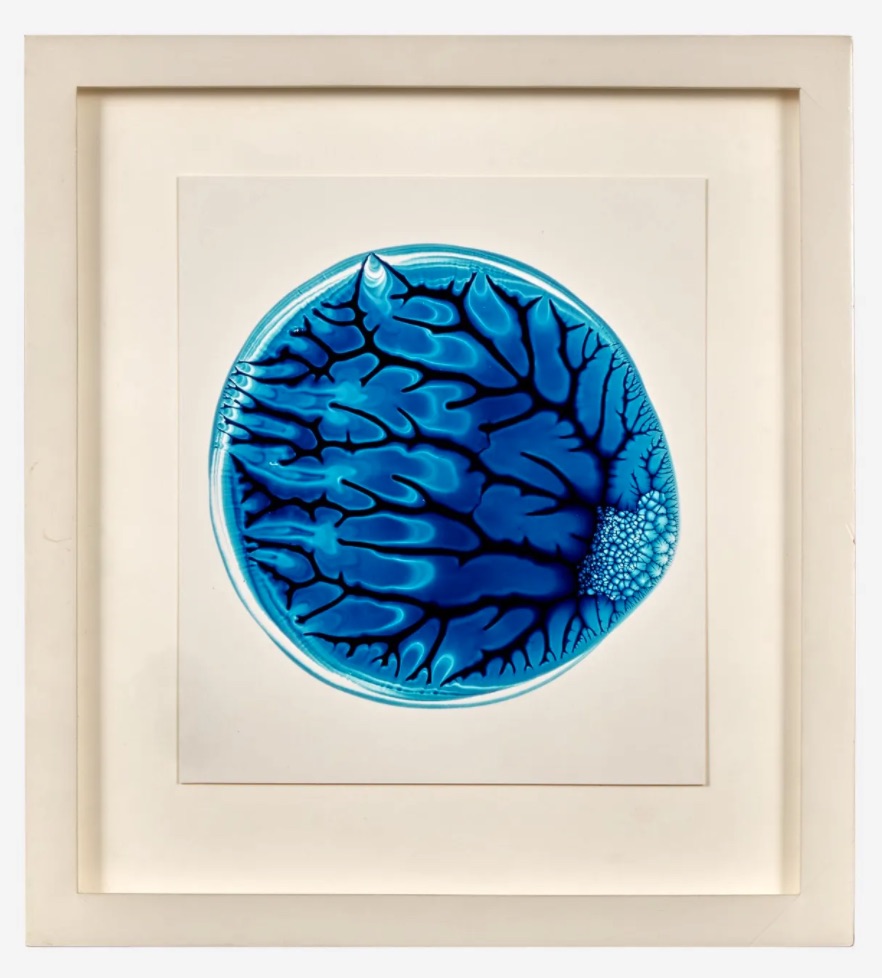 Marc Katano Prints For Sale | Original Limited Editions - Printed Editions