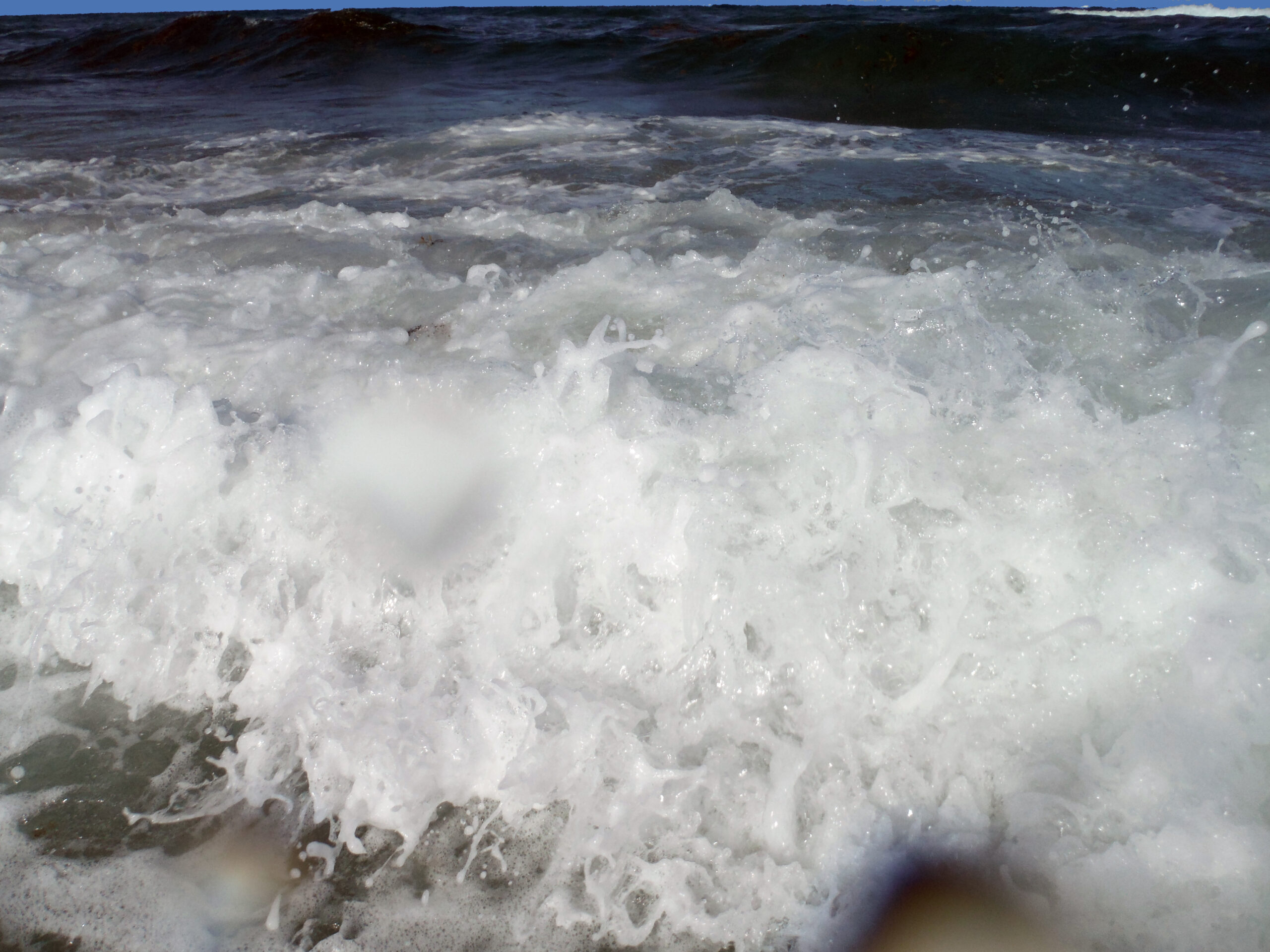 Ocean Wave Blue Horizon by Clifford Singer | Printed Editions