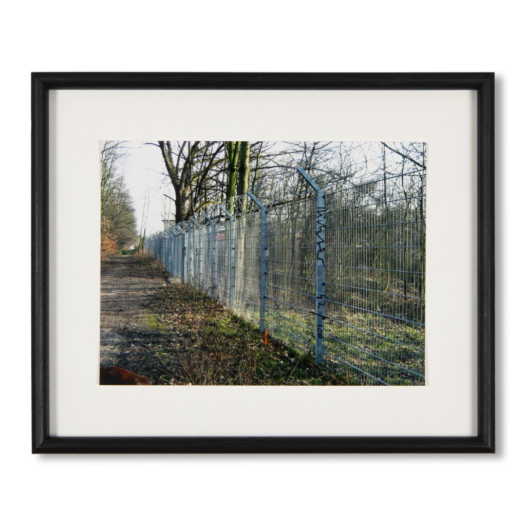Zaun by Gerhard Richter | Printed Editions